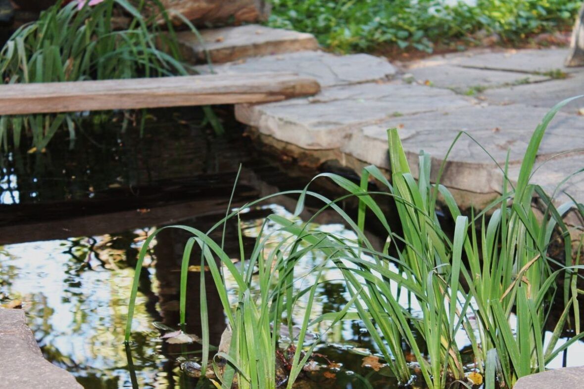 Teichbecken anlegen - Gartenteichgestaltung | VIVANNO