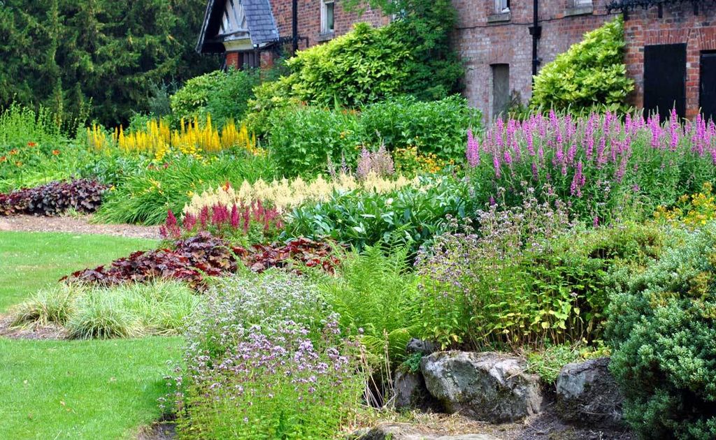 Ein Staudenbeet anlegen | VIVANNO