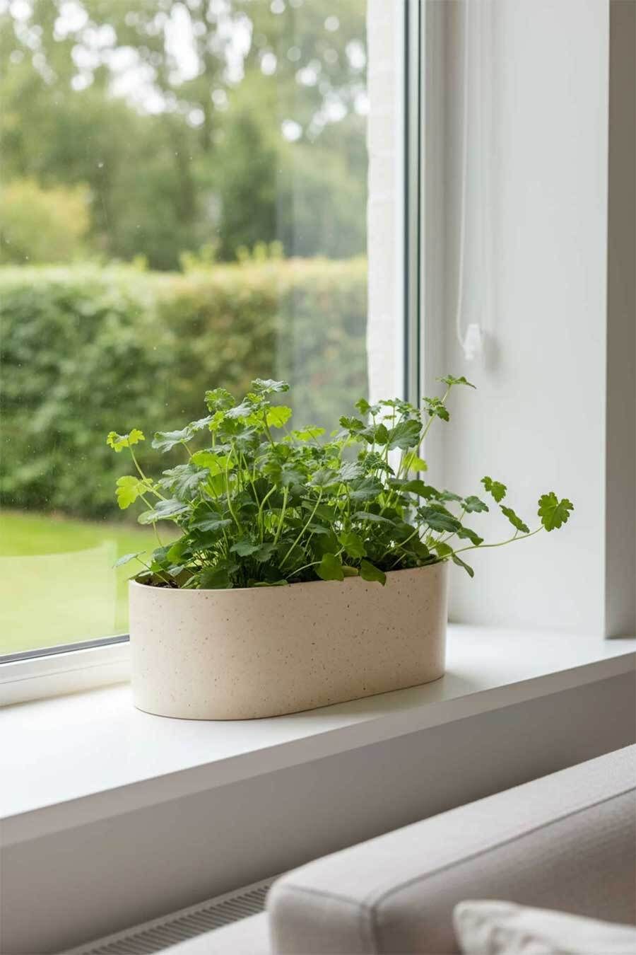 Neu im Shop: Pflanzschalen rund, oval, geriffelt und in Diamant-Optik ...