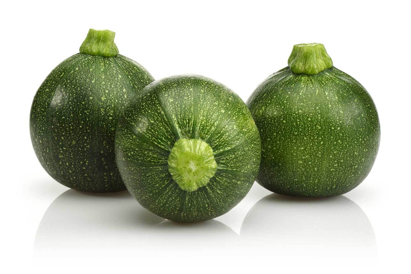 Zucchini im Kübel pflanzen, pflegen, ernten | VIVANNO