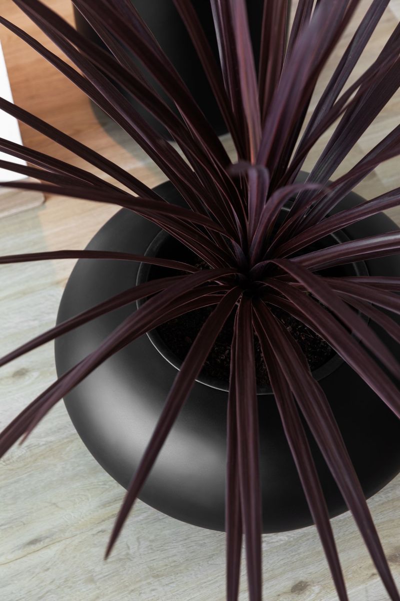 Pflanzkübel Blumentopf rund Fiberglas VIGLIA Schwarz Matt ...