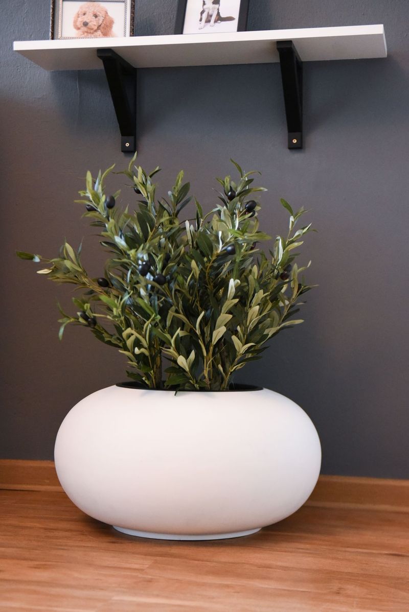 Pflanzkübel Blumentopf rund Fiberglas VIGLIA Weiß Matt | 101021085427 ...